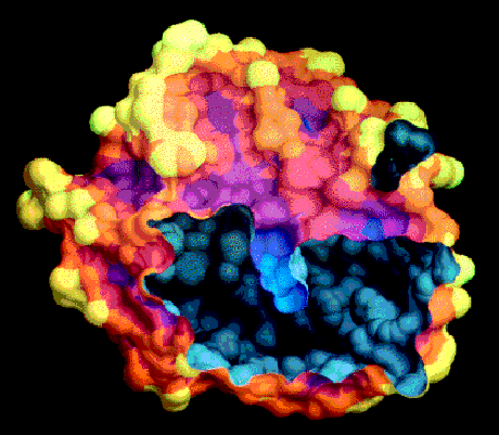 Links and Papers about Molecular Surface Generation